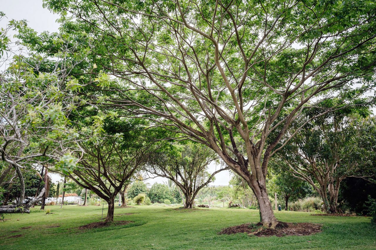 Accommodations | Starseed Ranch